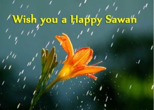 Happy Sawan Hd Images, Wallpaper, Pictures, Photos, Free Download